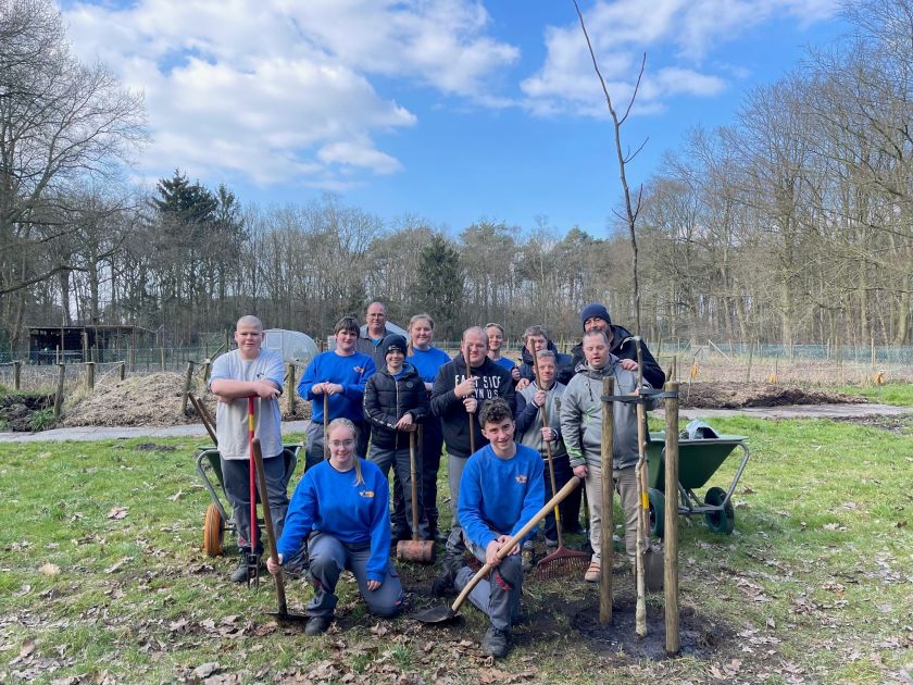 Van boom tot olie: notenbomen op Monnikenheide | Monnikenheide